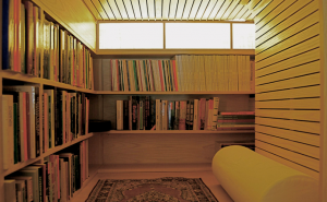 180 Square Foot Tiny Living in NYC