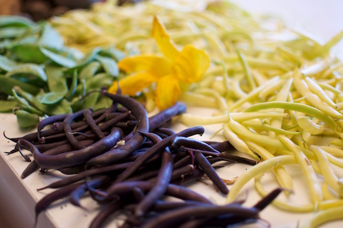Choose the Right Vegetables for Your Garden in 5 Easy Steps