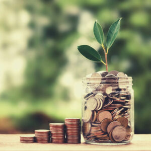 The Comprehensive Guide To Minimalist Money And Budgeting - The Tiny Life