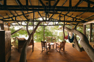 How To Build A Treehouse: Take Your Dream To New Heights - The Tiny Life