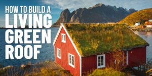 Sustainable Rooftop Oasis: How To Build A Living Green Roof - The Tiny Life